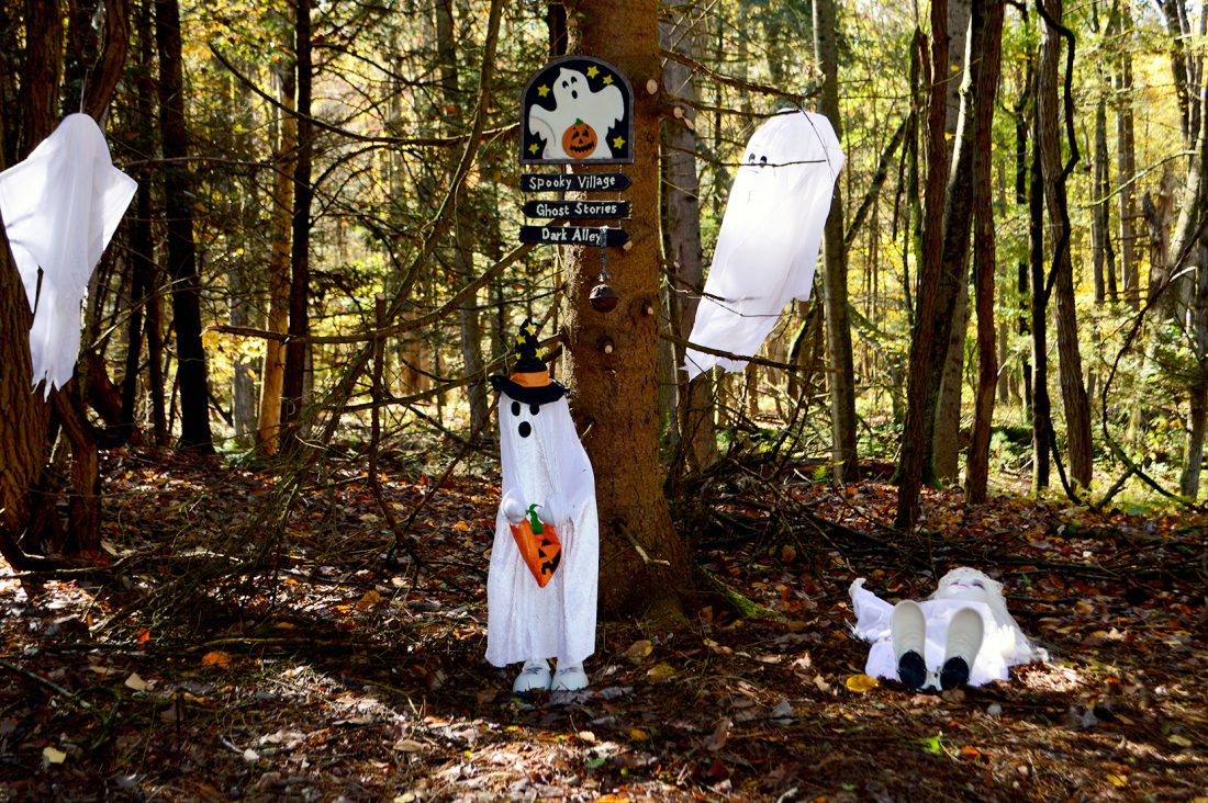 Nature Park to hold trunk or treat, Halloween walk on Oct. 30 | News ...